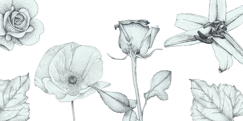 DOT & BLOOM – DOT & BLOOM